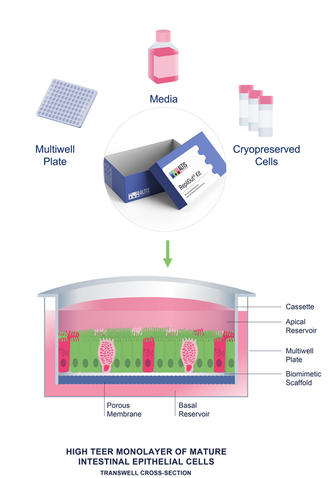 RepliGut® Kits - Altis Biosystems