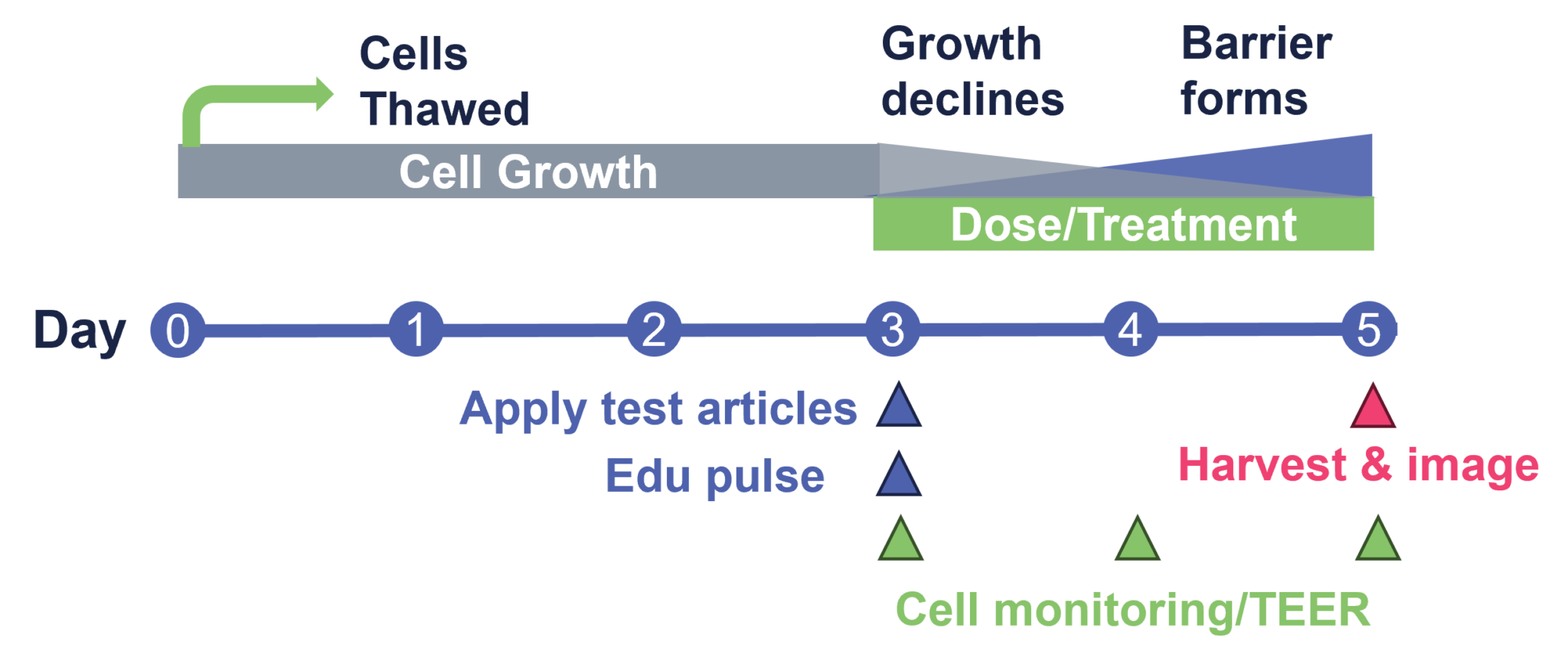StemTox - Altis Biosystems