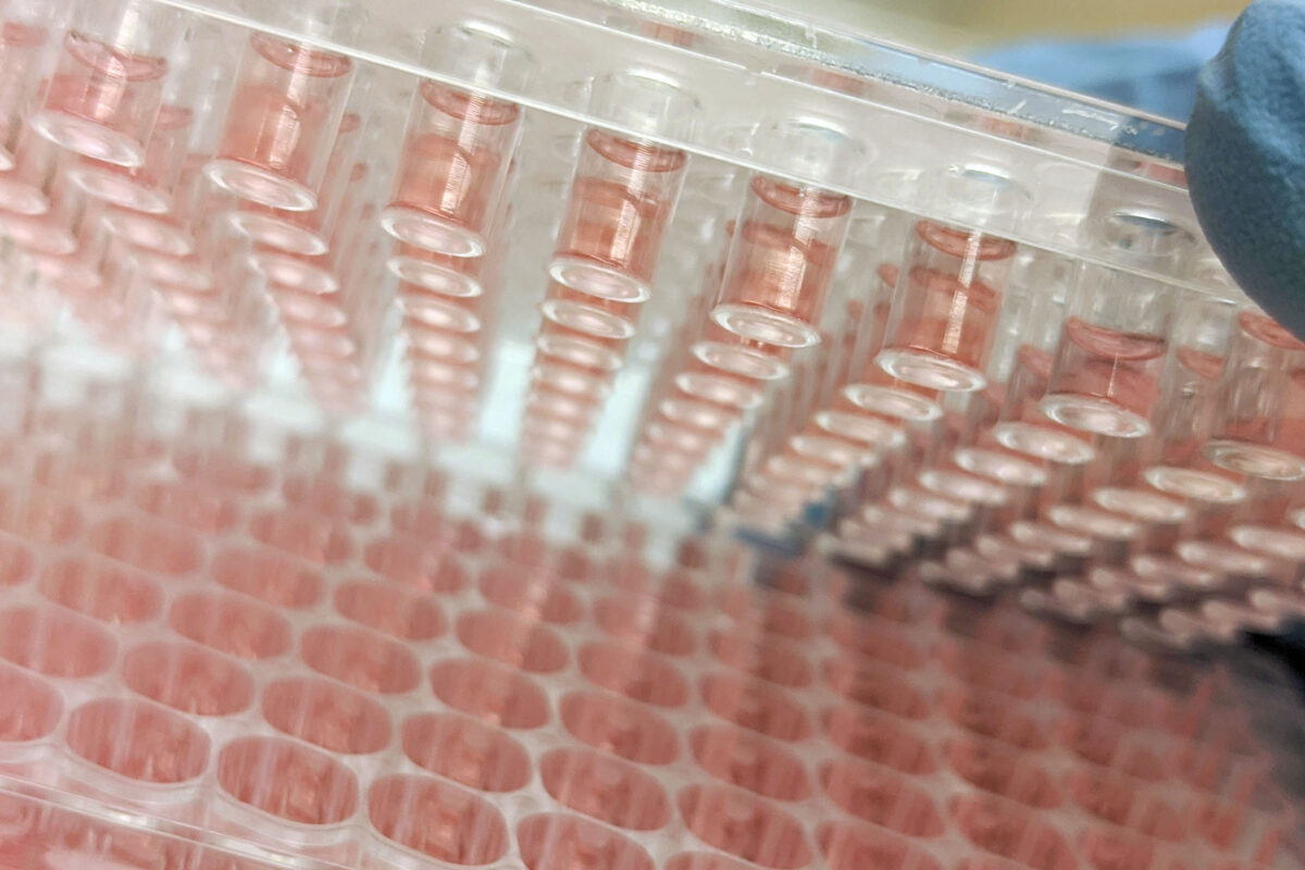 Platform - Altis Biosystems Intestinal Epithelial Cells