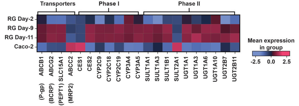 In Vitro DMPK - Altis Biosystems